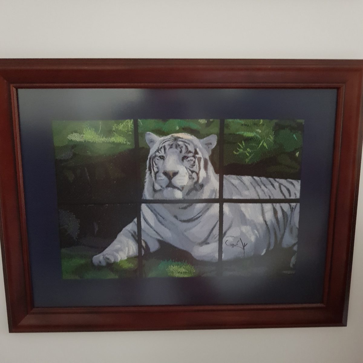 Big Cat Pictures – BFC Creations BLOG